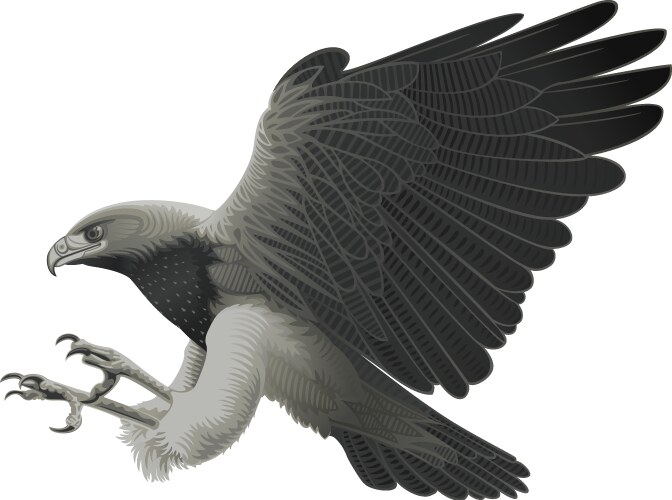 Eagle Vector Images (over 91,000)