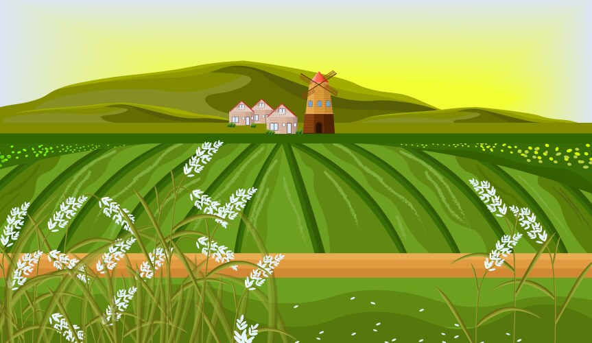 Landscape with paddy fields Royalty Free Vector Image