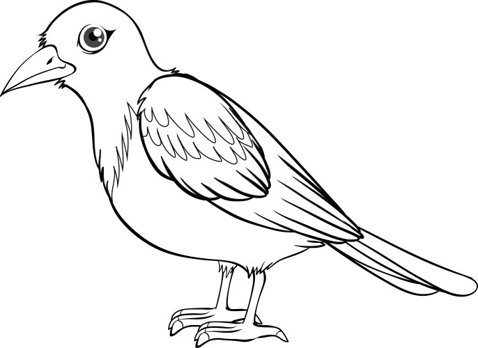 Bird Outline Vector Images (over 73,000)