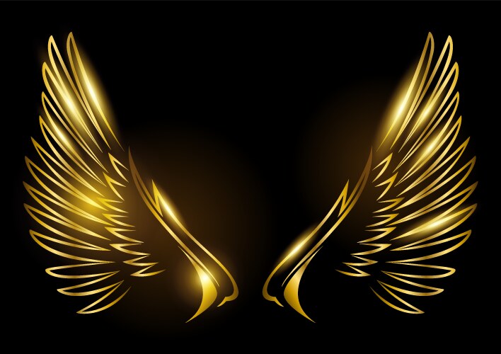 Golden wing emblem on black background Royalty Free Vector