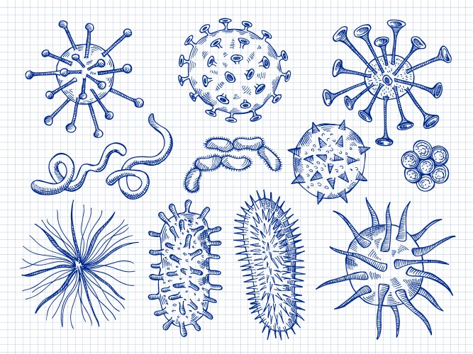 Bacteria Drawing Vector Images (over 7,700)