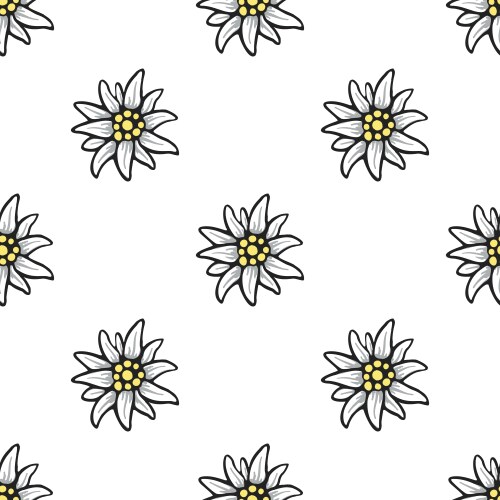 Edelweiss Vector Images (over 520)