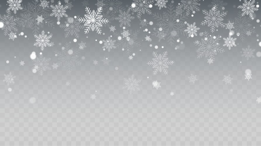 Falling snow overlay background Royalty Free Vector Image