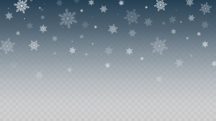 Falling snow overlay background Royalty Free Vector Image