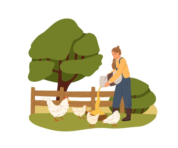 Chickens Vector Images (over 200,000)