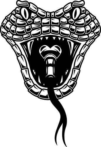 Snake teacher Royalty Free Vector Image - VectorStock