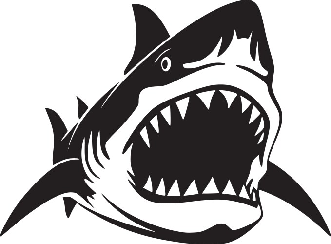 Shark face Royalty Free Vector Image - VectorStock