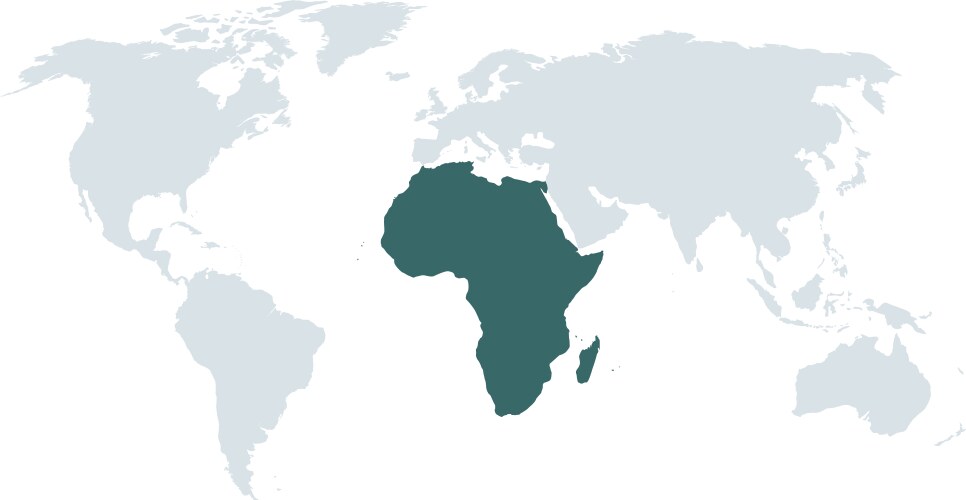 World map in grey color on white background high Vector Image