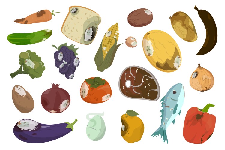 Rotten Food Vector Images (over 2,100)