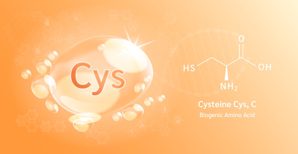 Cysteine Vector Images (over 130)