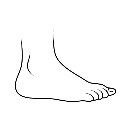 Foot Outline Vector Images (over 52,000)