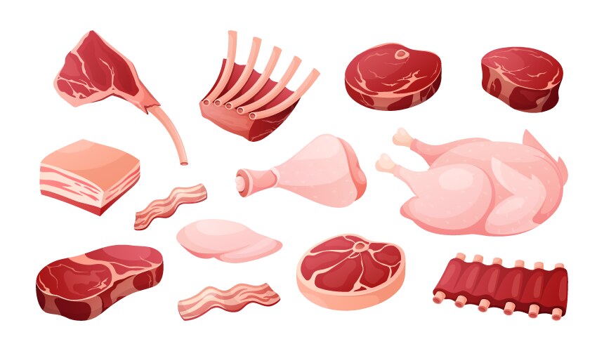 Meat set Royalty Free Vector Image - VectorStock