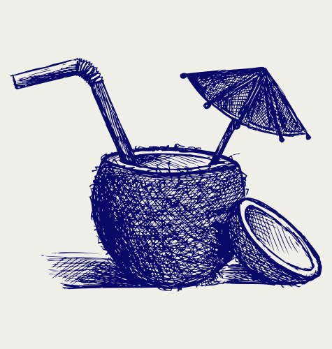 Summer tropic coconut cocktail exotic fruit Vector Image