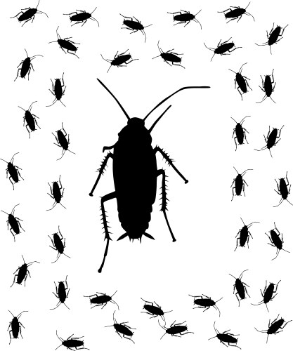 Cockroach Vector Images (over 9,800)