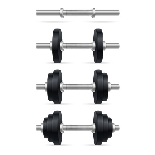 Sketch dumbbell weight Royalty Free Vector Image