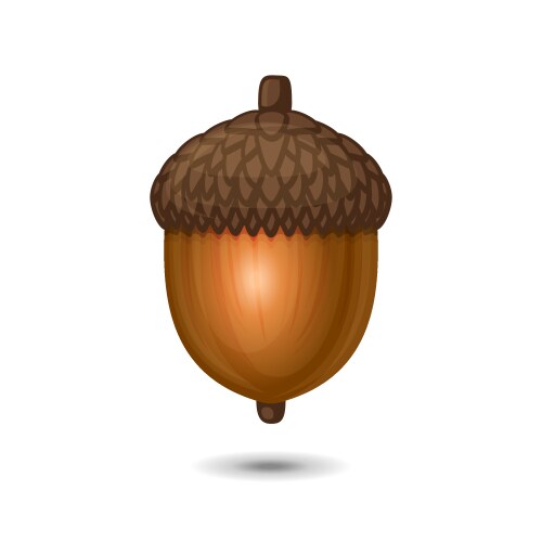 Acorn Cartoon Vector Images (over 10,000)
