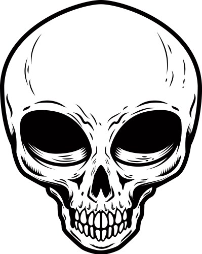 Skull Royalty Free Vector Image - VectorStock