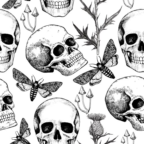 Hawk Skeleton Vector Images (over 140)