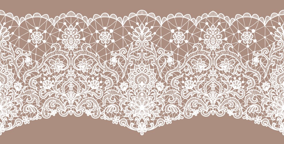 Seamless white lace Royalty Free Vector Image - VectorStock