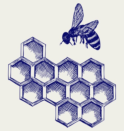 Bees on honey cells Royalty Free Vector Image - VectorStock