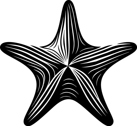 Starfish Silhouette Vector Images (over 5,500)