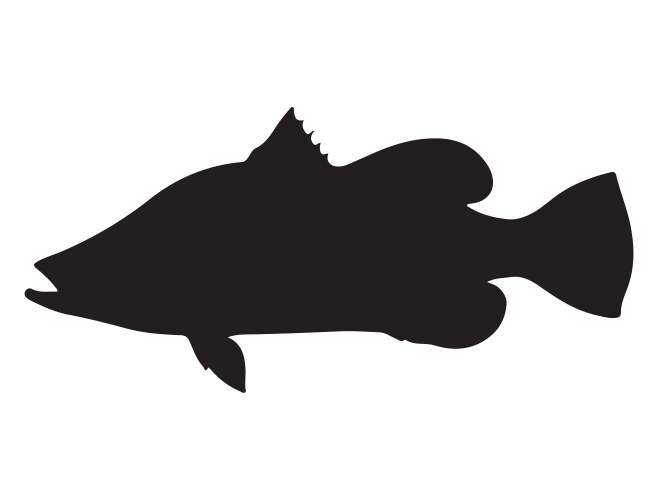 Barra Vector Images (over 510)