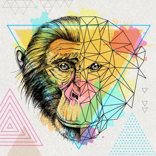 Realistic Monkey Drawing Vector Images (over 400)
