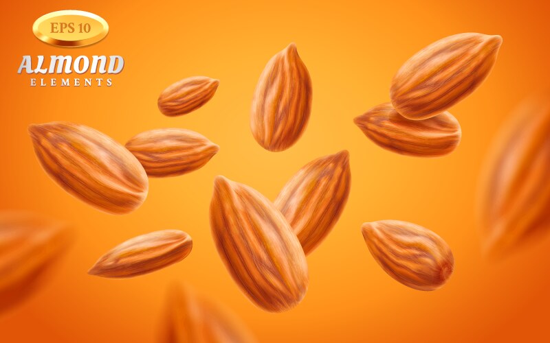 Almond Vector Images (over 18,000)