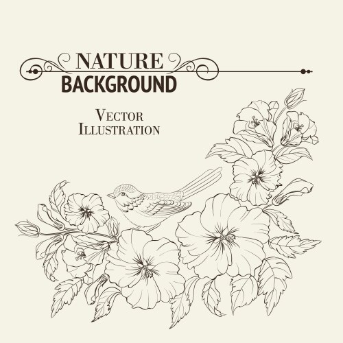 Hibiscus Vector Images (over 24,000)