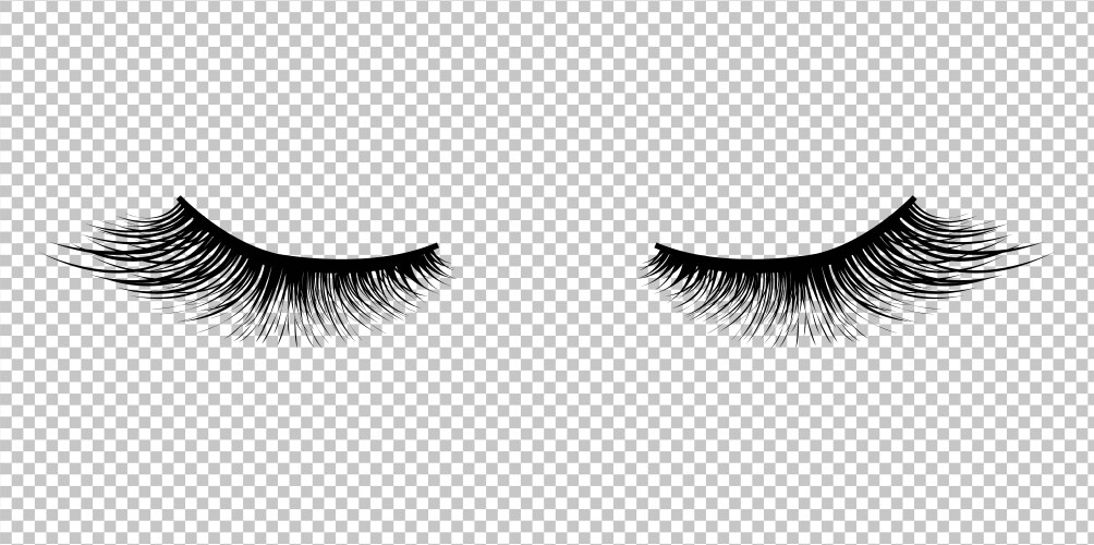 Eyelashes Transparent Vector Images (over 220)