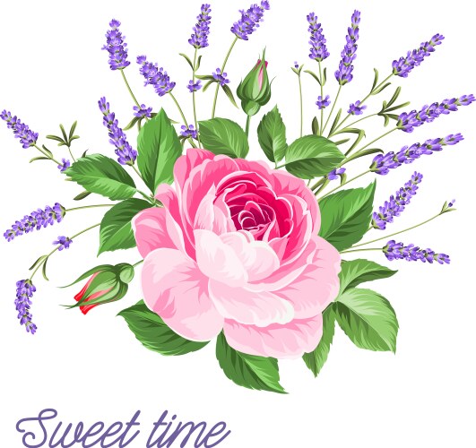 Watercolor lily rose flower wedding card Vector Image