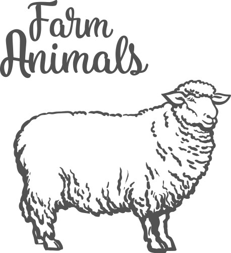Sheep Outline Vector Images (over 8,100)