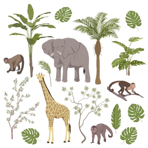 Safari animals Royalty Free Vector Image - VectorStock