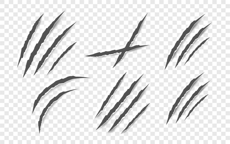 Black claw scratches - isolated claws Royalty Free Vector