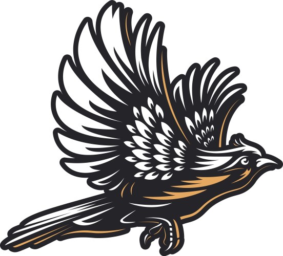 Phoenix Suns Vector Images (over 230)