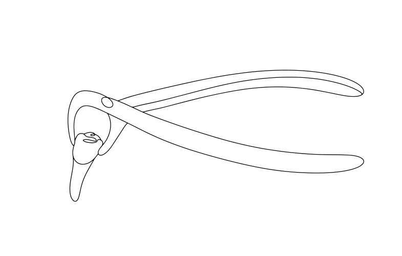 Forceps Drawing Sketch Vector Images (52)