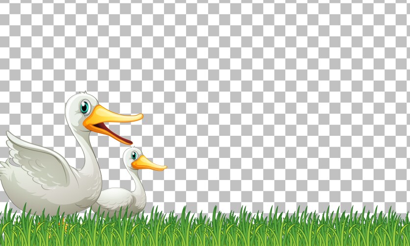 Green duck on white background Royalty Free Vector Image