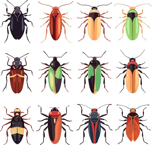 Cockroaches seamless pattern template cockroach Vector Image