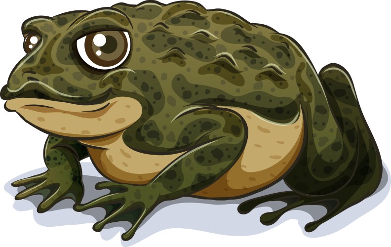 Frog thinking Royalty Free Vector Image - VectorStock