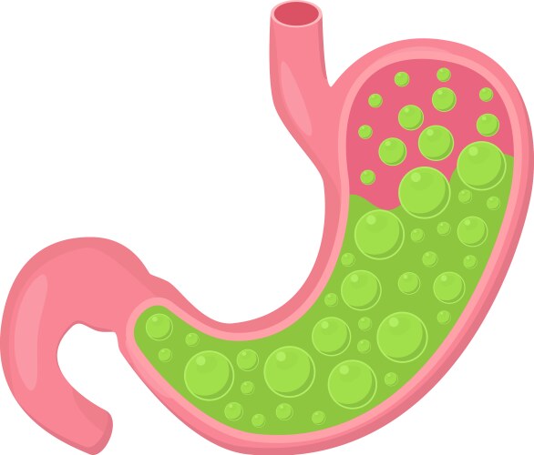 Internal Vector Images (over 500,000)