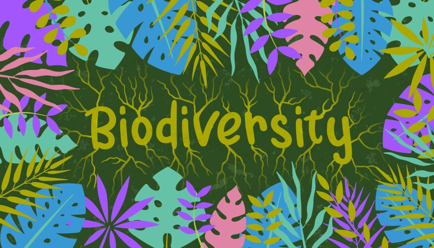 Biodiversity Posters Vector Images (over 990)
