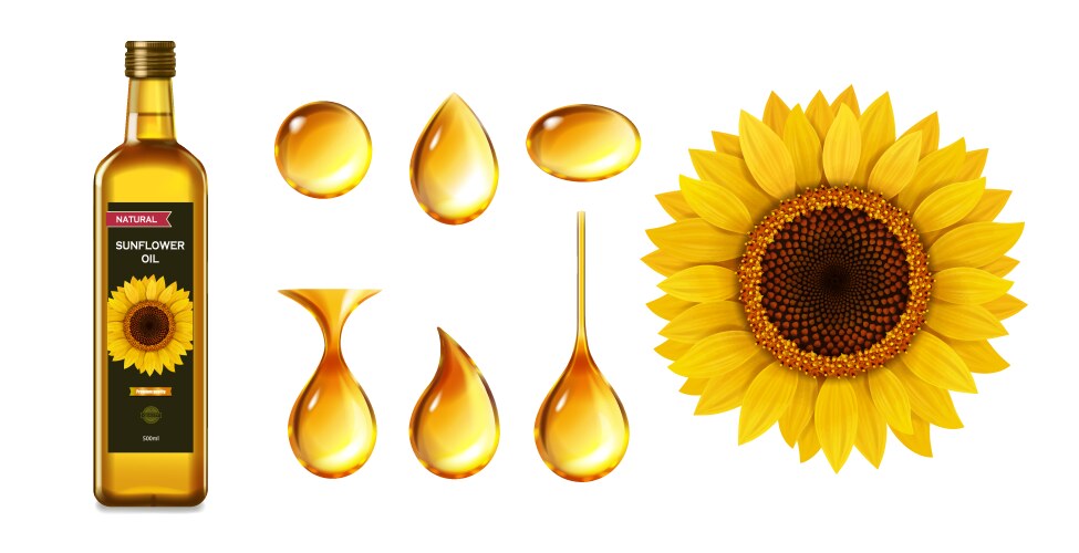 Sunflower oil Royalty Free Vector Image - VectorStock