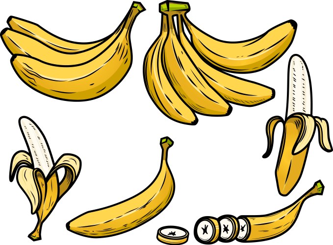 Banana Shape Vector Images (over 3,500)