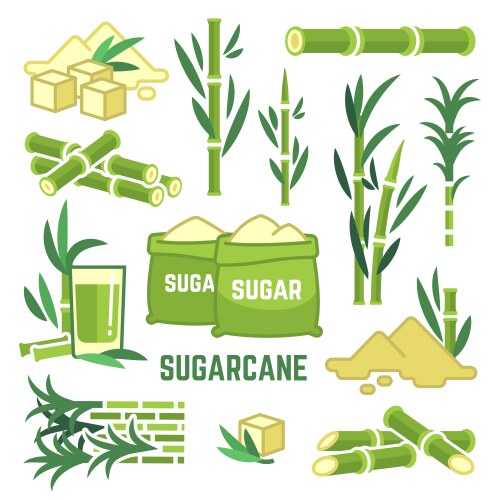 Sugar Vector Images (over 230,000)