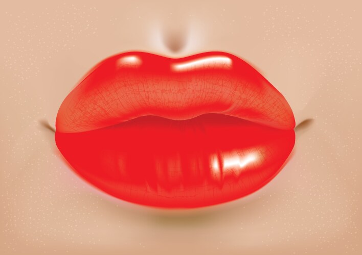 Birthday dessert with candles Royalty Free Vector Image