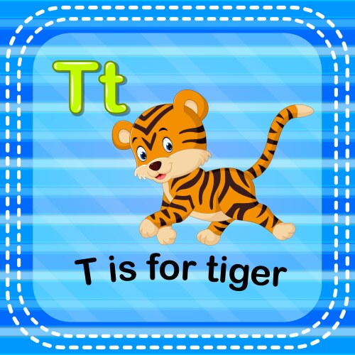 Tiger Flashcard Vector Images (74)