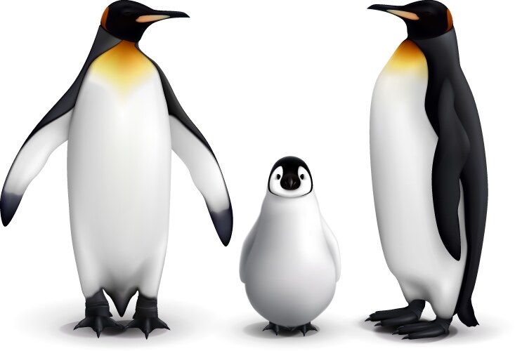 Clipart Penguin