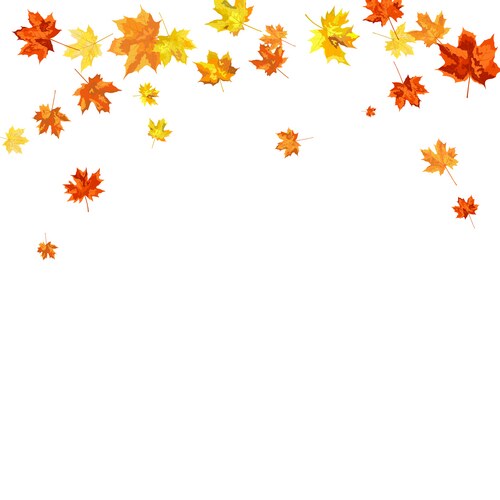 Autumn falling maple leaves Royalty Free Vector Image