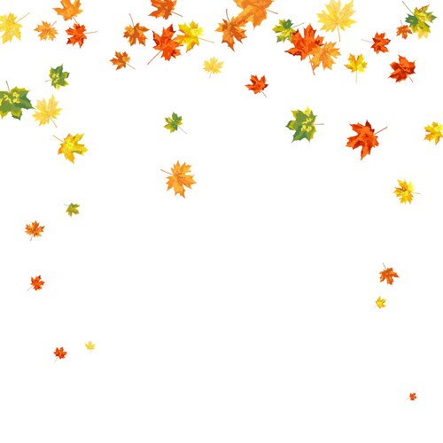 Autumn falling maple leaves Royalty Free Vector Image