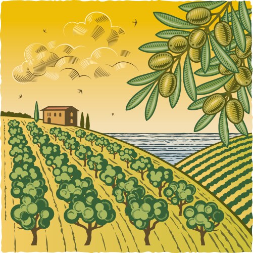 Olive Tree Drawing Vector Images (over 48,000)